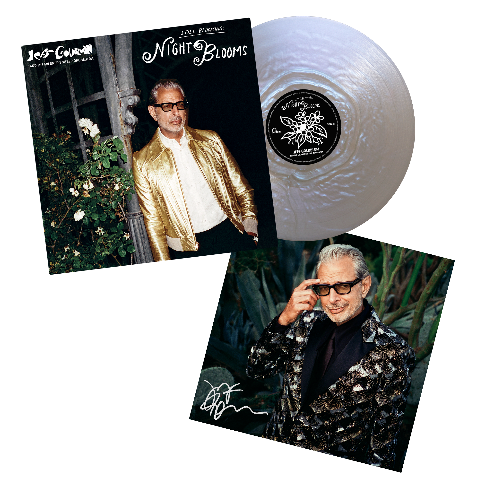 Jeff Goldblum & The Mildred Snitzer Orchestra & Jeff Goldblum - Night ...